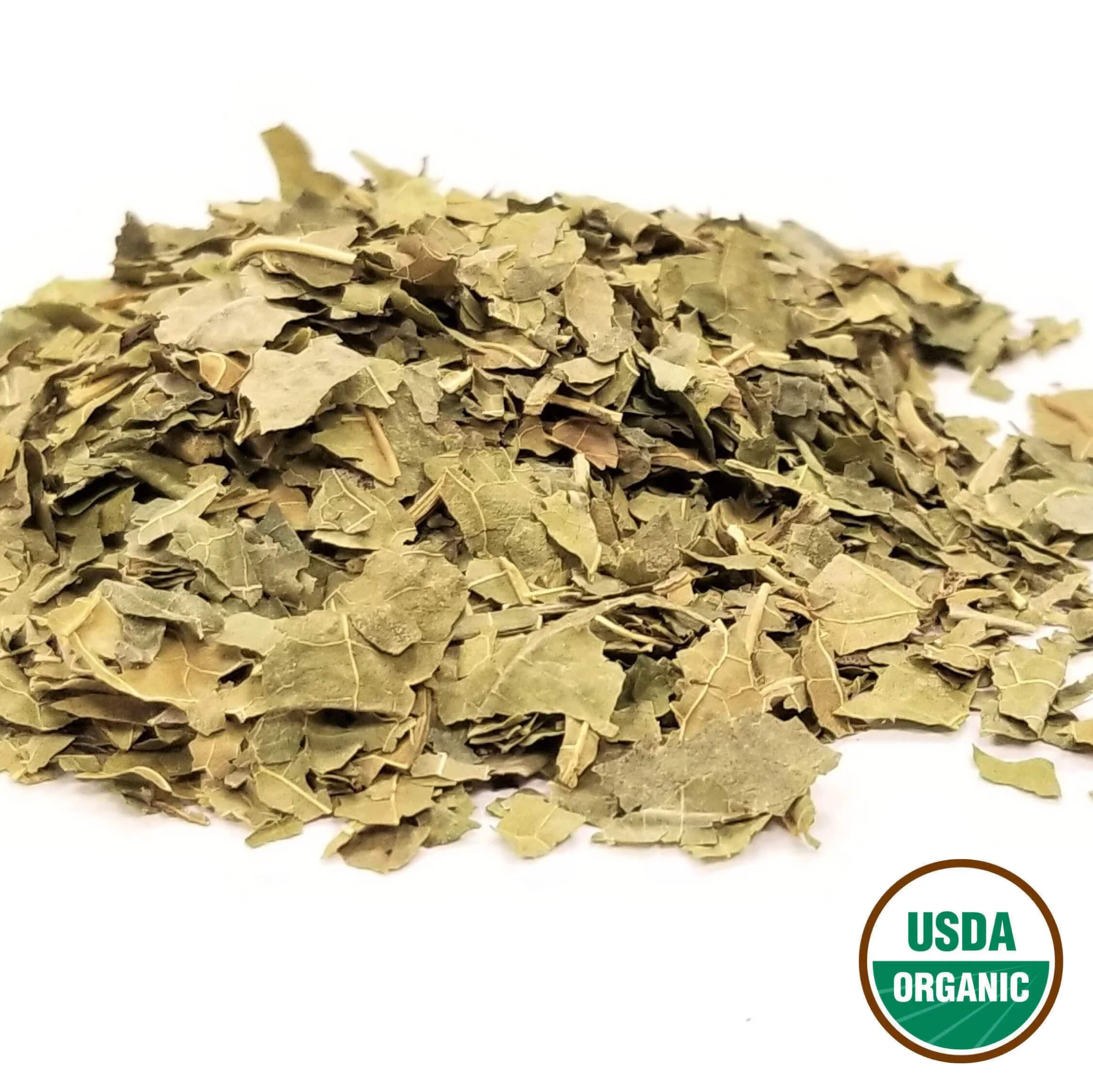 White Mulberry Leaf - Morus alba Folium - Sang Ye - Organic Grade ...